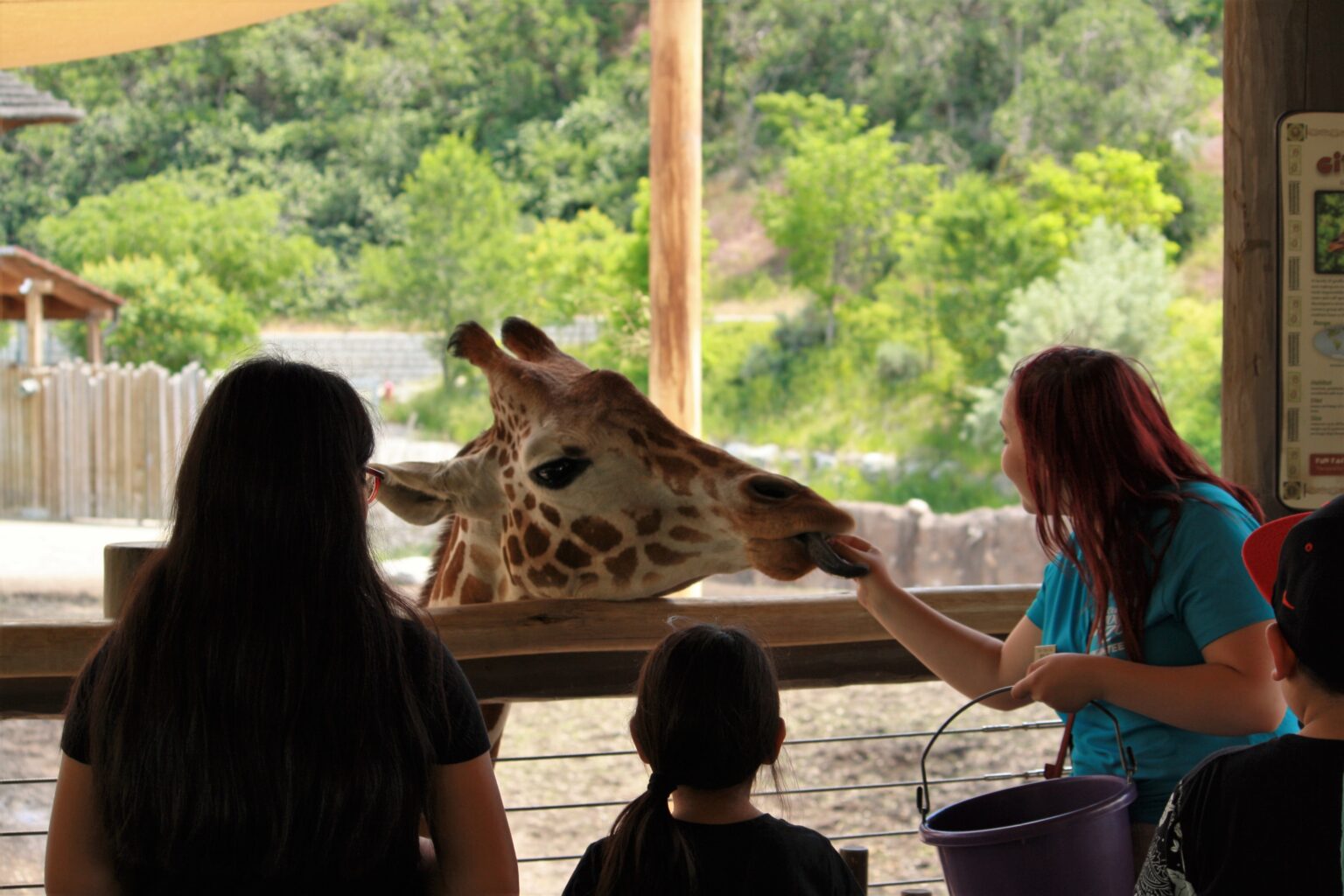 Zoo Openings and Careers - Utah's Hogle Zoo