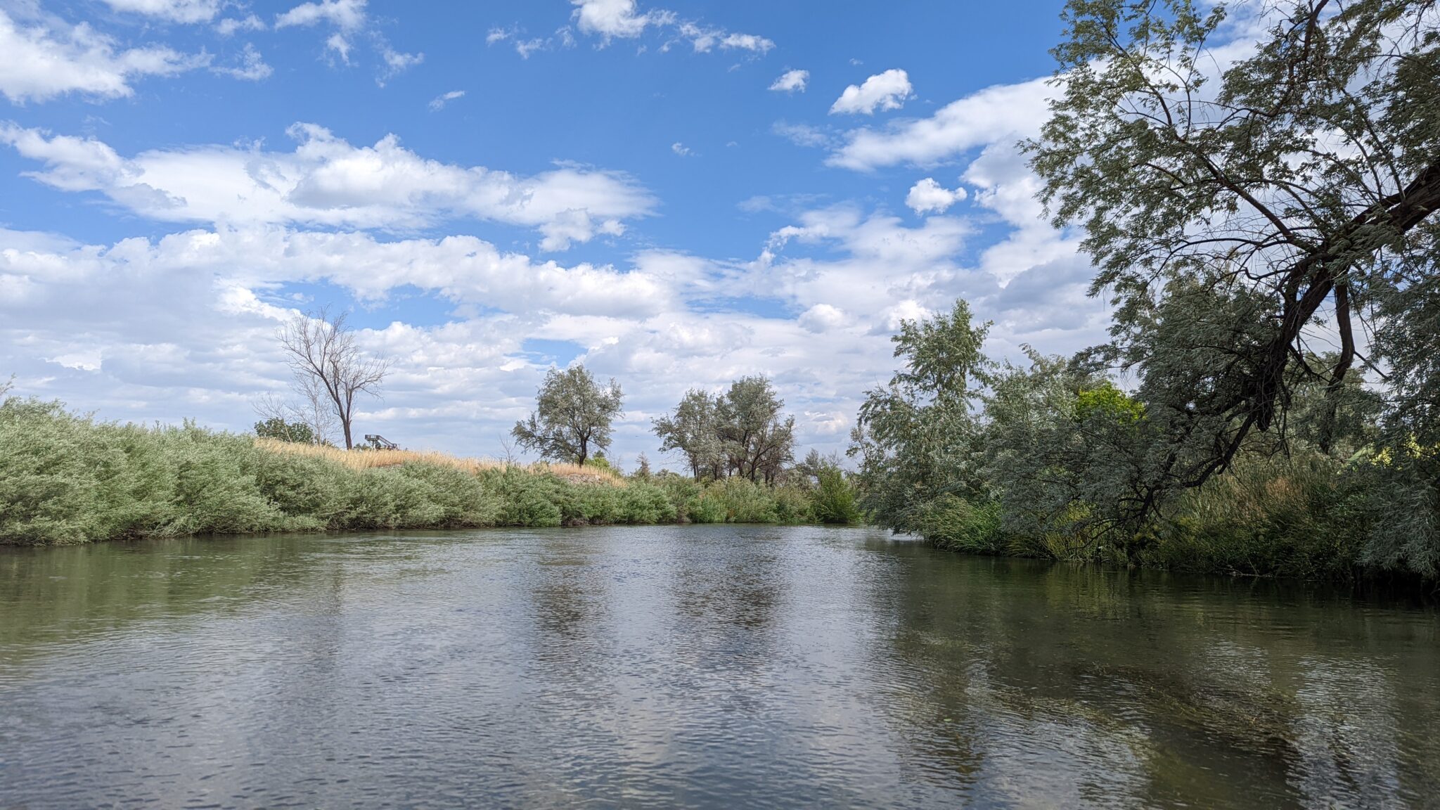 Conserving the Jordan River - Utah's Hogle Zoo