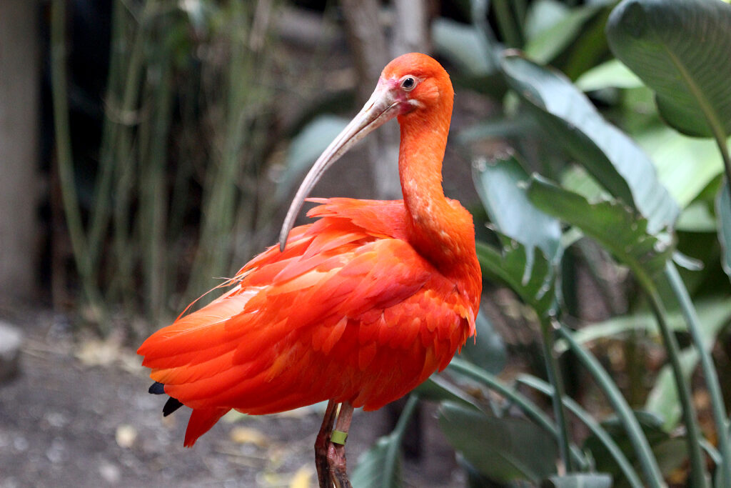 Small Animal Building at Hogle Zoo in Salt Lake City, UT