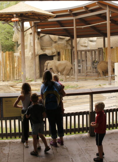 Become a Member - Utah's Hogle Zoo