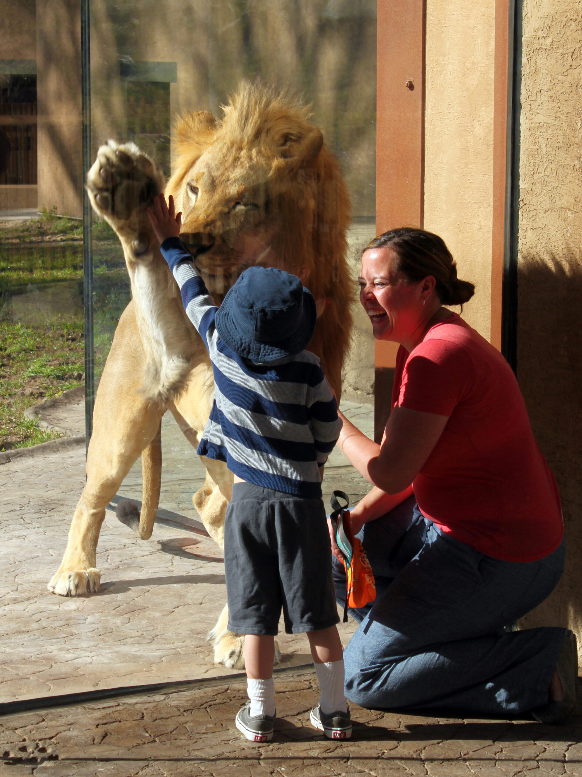 Admission Tickets | Tickets, Memberships, & More | Hogle Zoo