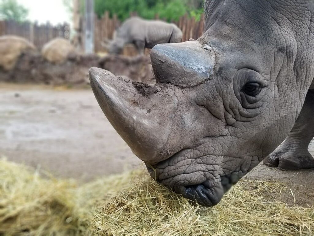 Tours - Utah's Hogle Zoo