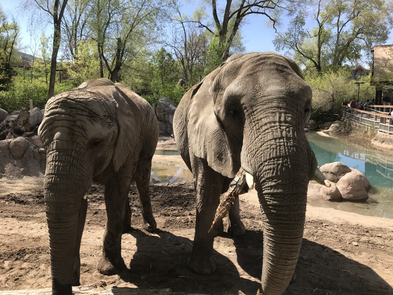 FAQs - Utah's Hogle Zoo