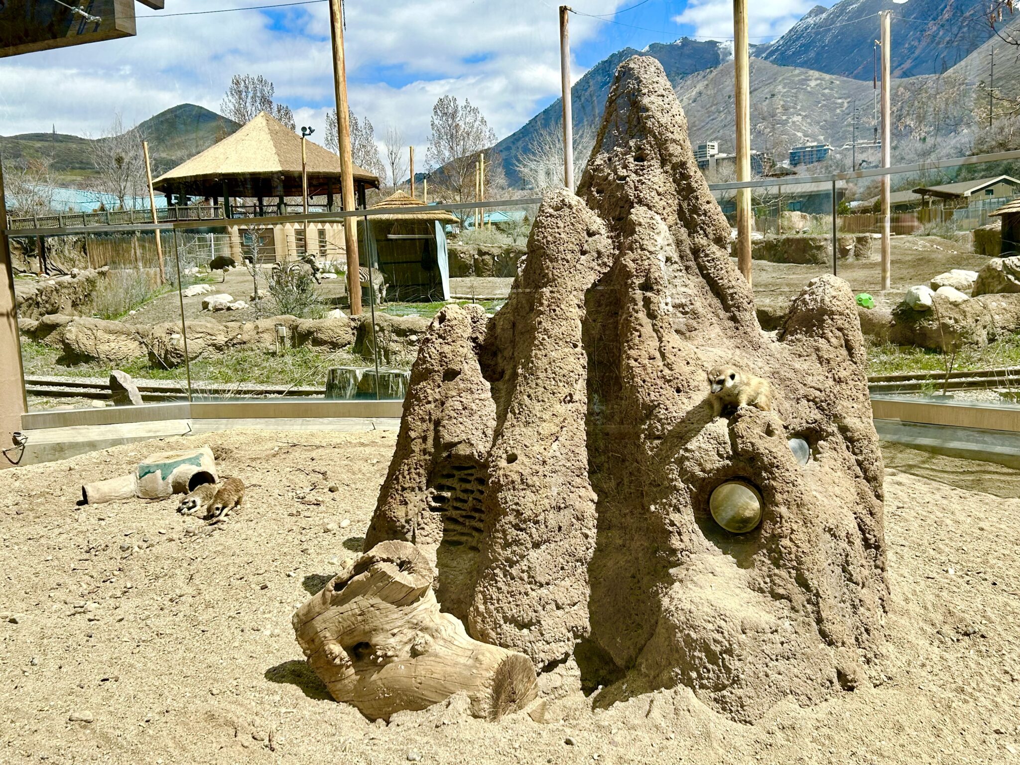 Zoo Tours | Behind-the-Scenes, Animal Experiences & Encounters | Hogle Zoo