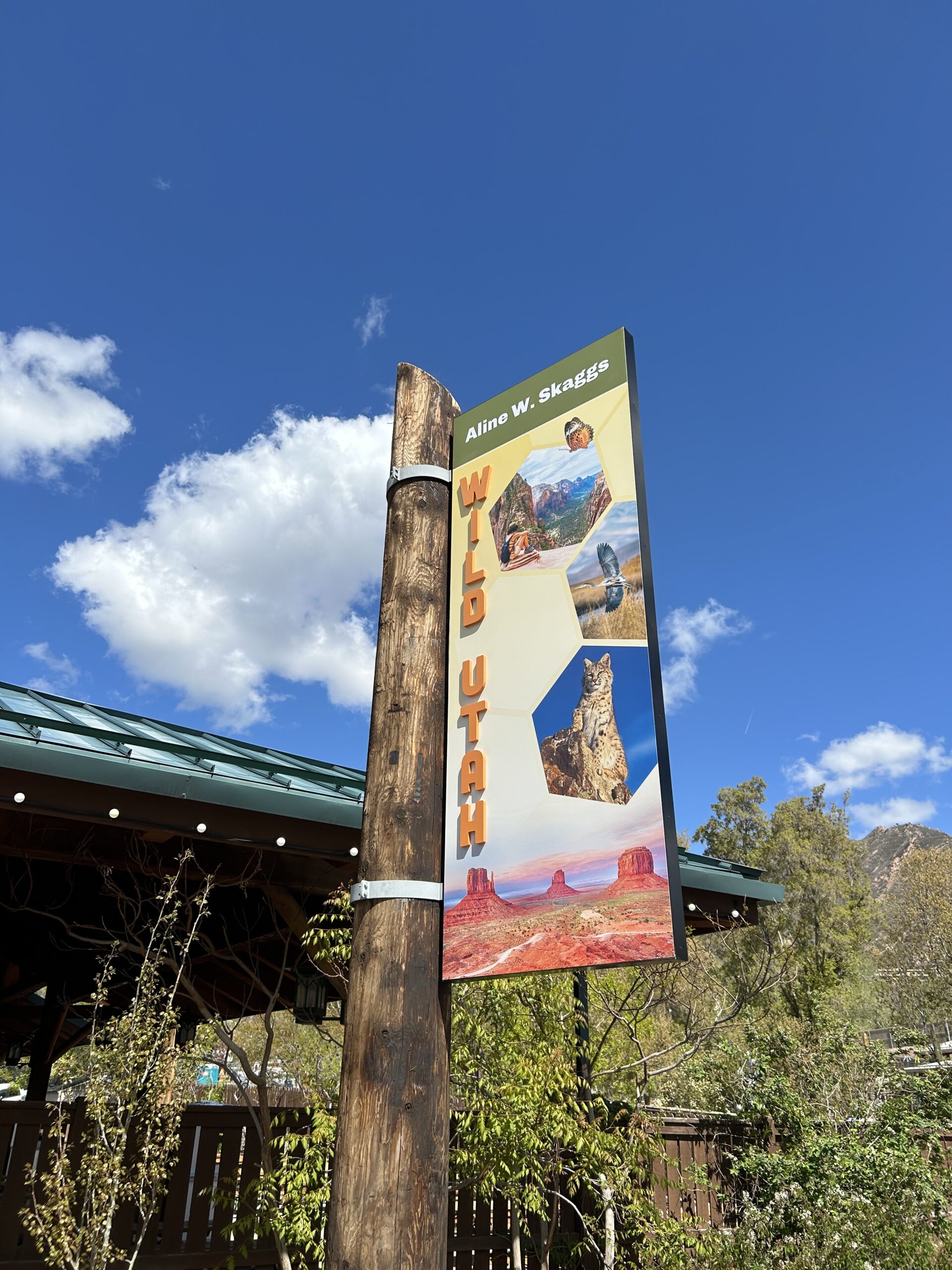 Wild Utah Opens - Utah's Hogle Zoo | Stories & News