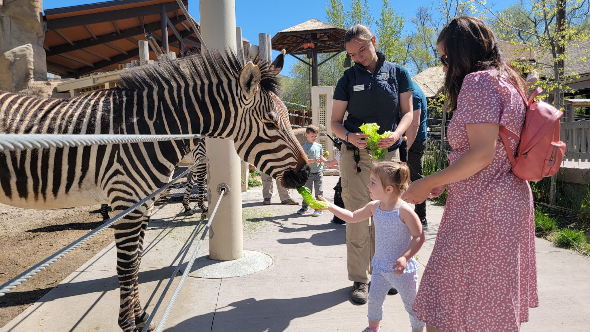 Tours & Encounters - Utah's Hogle Zoo