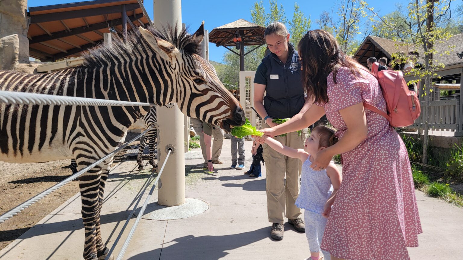 Utah’s Hogle Zoo - Creating Champions for Wildlife, Salt Lake City