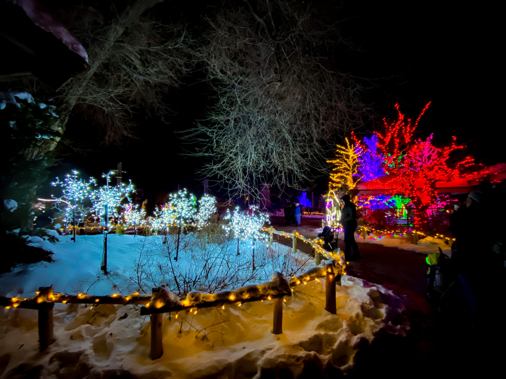 More to Do, More to Zoo This Winter - Utah's Hogle Zoo