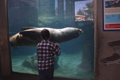 Plan Your Visit - Utah's Hogle Zoo