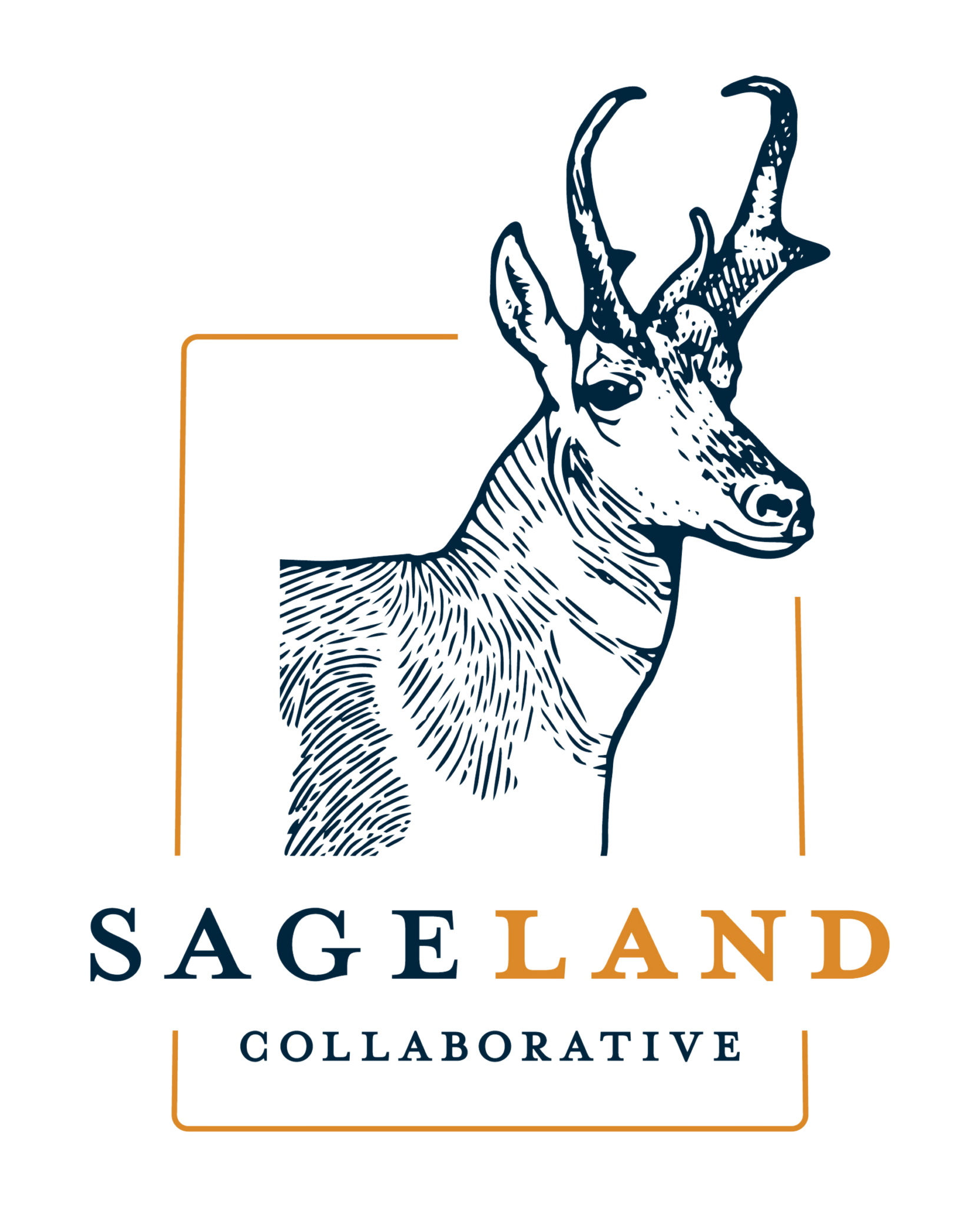 Protecting the Western Toad - Utah's Hogle Zoo