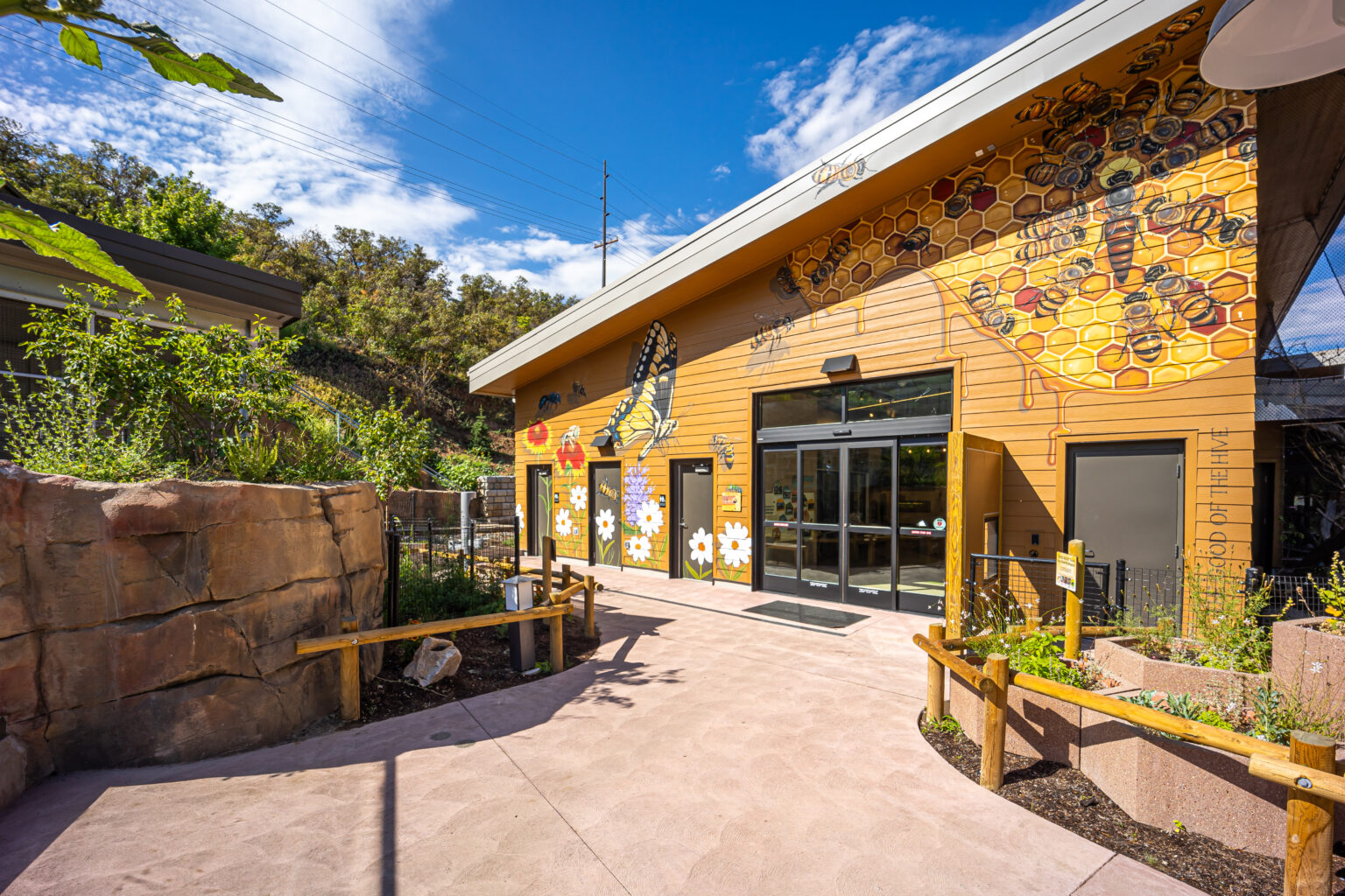 Protecting the Western Toad - Utah's Hogle Zoo