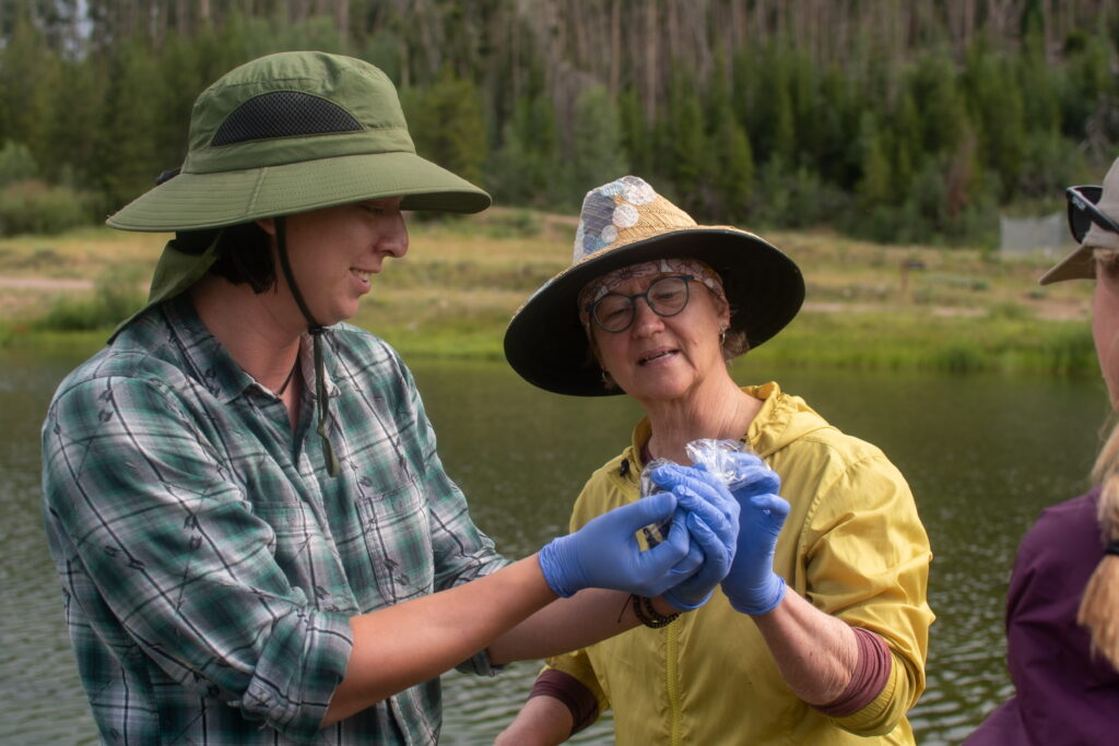 Western Toad Conservation Program - Utah's Hogle Zoo
