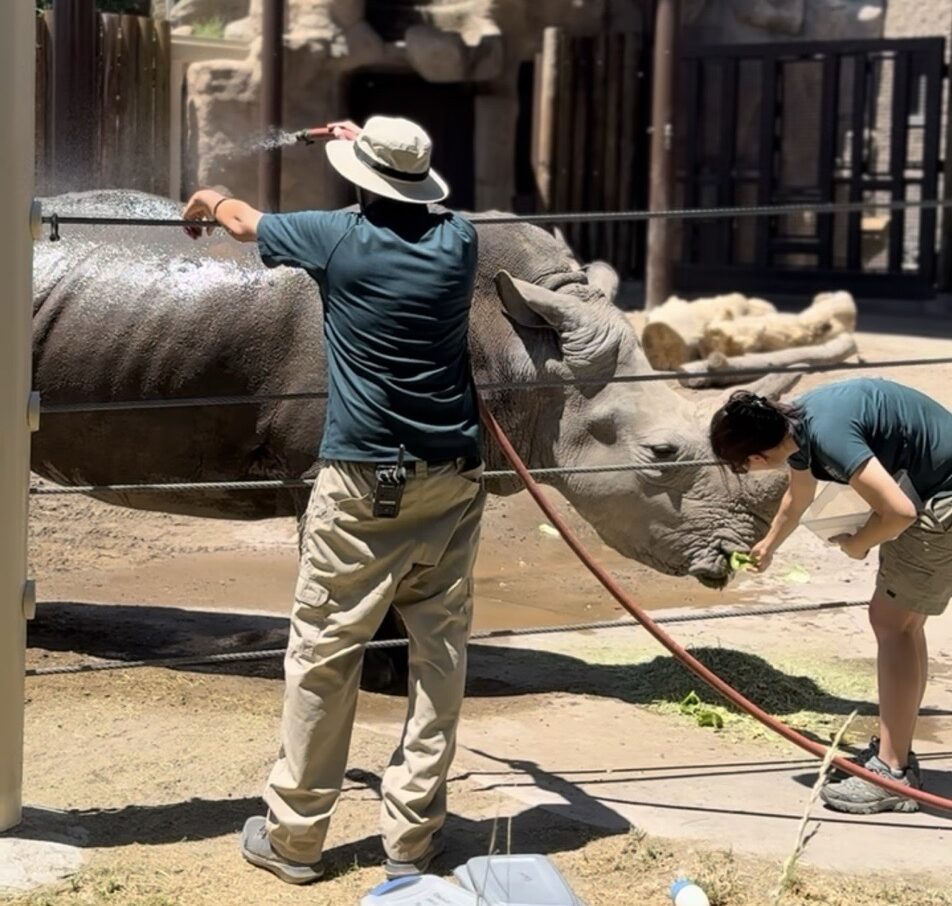 Wellbeing - Utah's Hogle Zoo